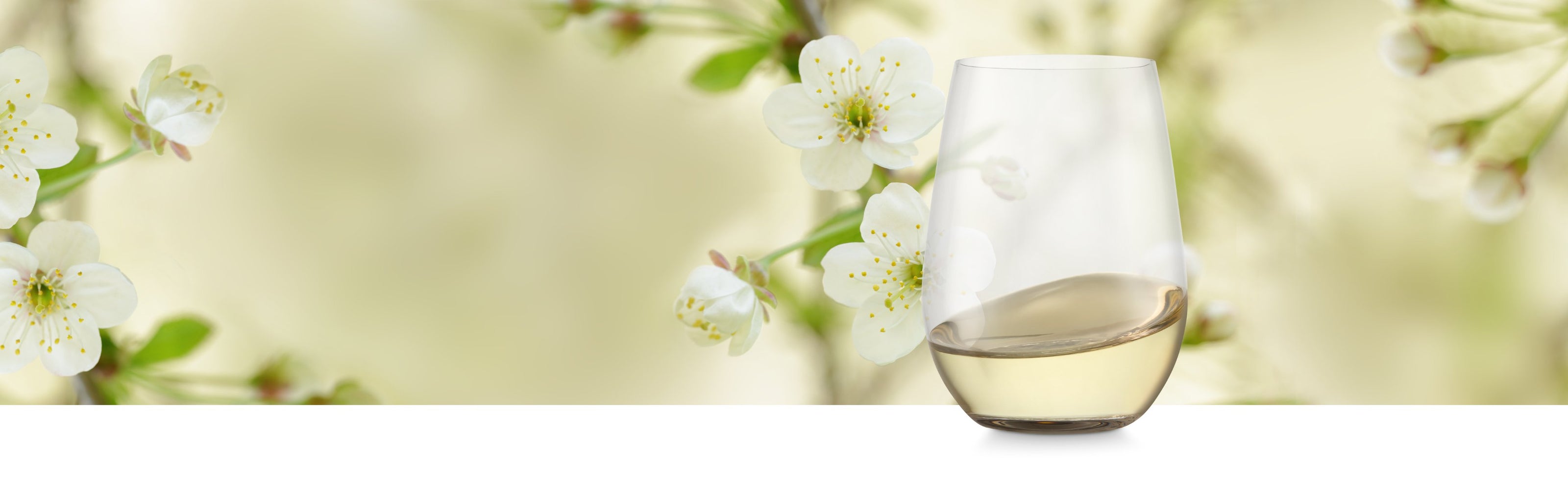 Wein und Weinproben in Berlin – NOER Weinhandel & Weinevents