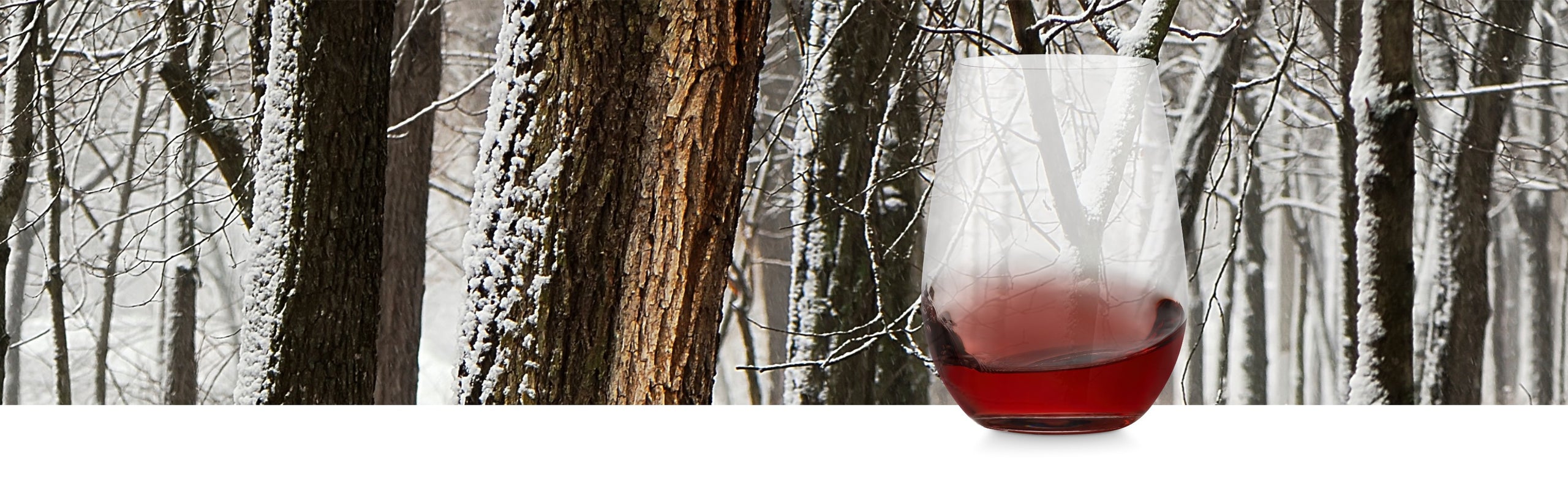 Wein und Weinproben in Berlin – NOER Weinhandel & Weinevents